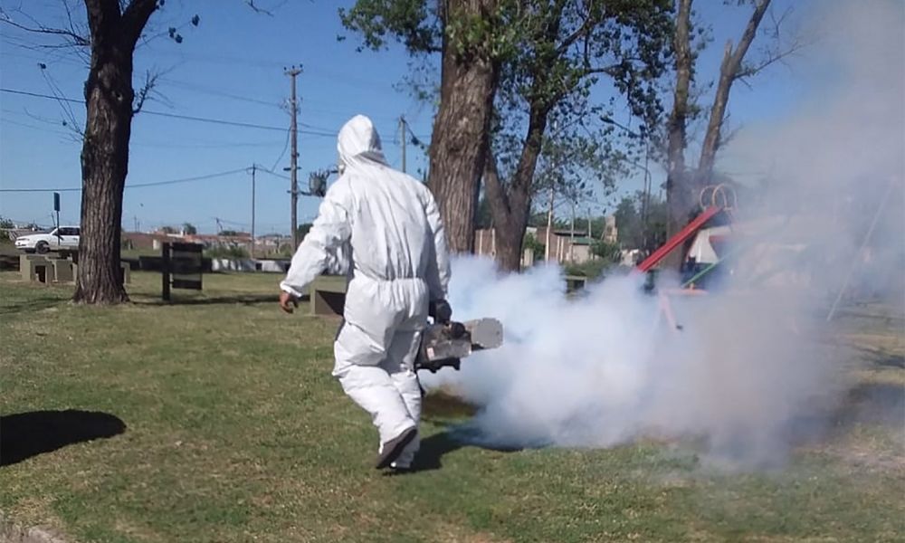 Fumigación en espacios públicos de Pergamino: Acciones preventivas ...